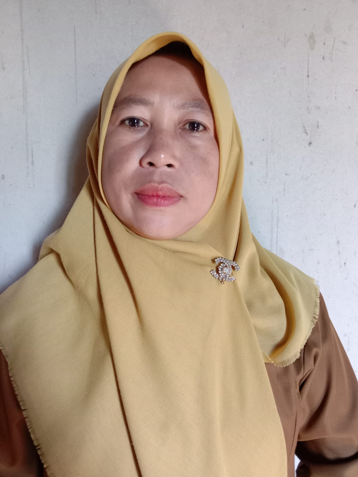 Pemerintahan - Desa Pandahan